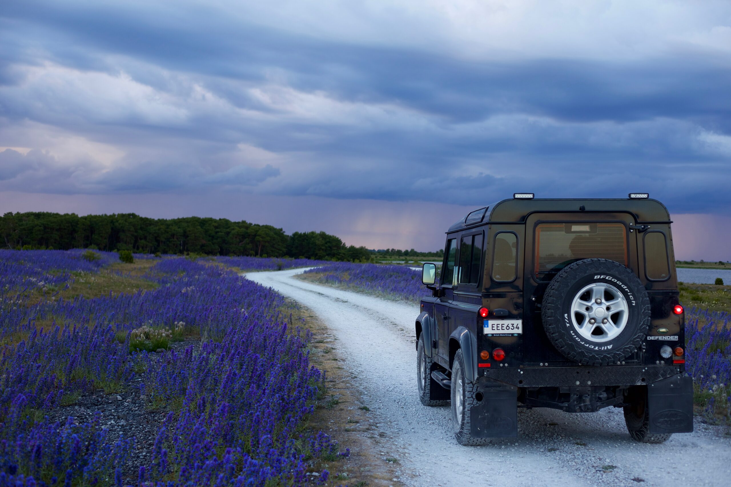 10 Best Car Solar Panels And Their Reviews [Updated 2021]